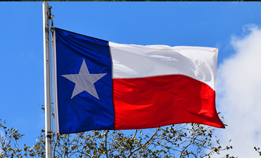 Celebrating the Lone Star